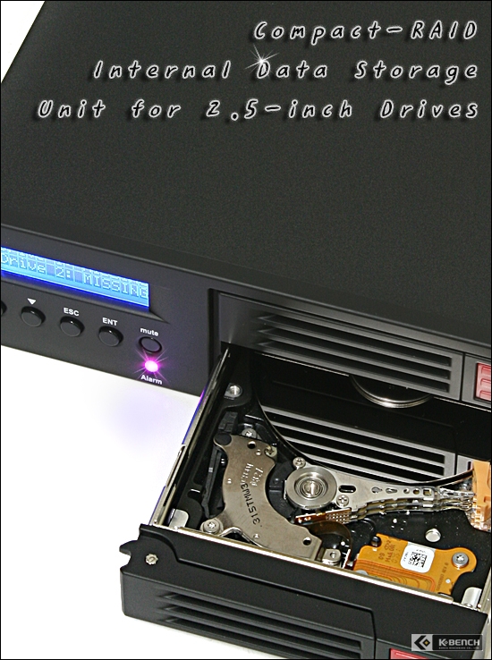 RAID 1으로 더욱 안정적인, RAIDON MR2020-2S-S2 | 케이벤치 리뷰