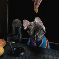 Logitech official distributor S-Rise Musinsa x Logitech for Creator ...