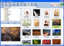 다씨(DaSee) v8.0 (국산 무료 이미지 뷰어) | 케이벤치 다운로드
